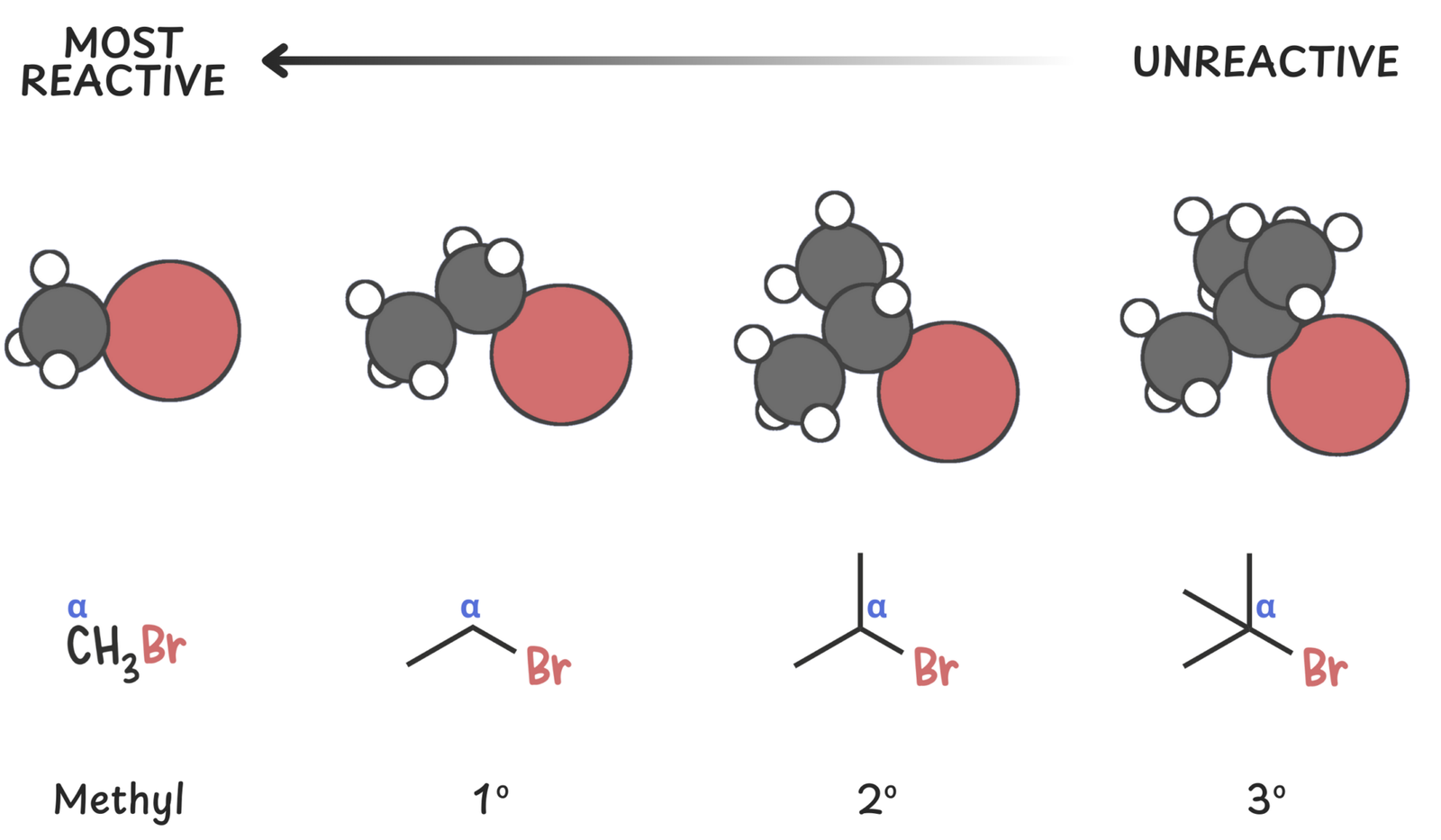 How to Rank Molecules by SN2 Reactivity