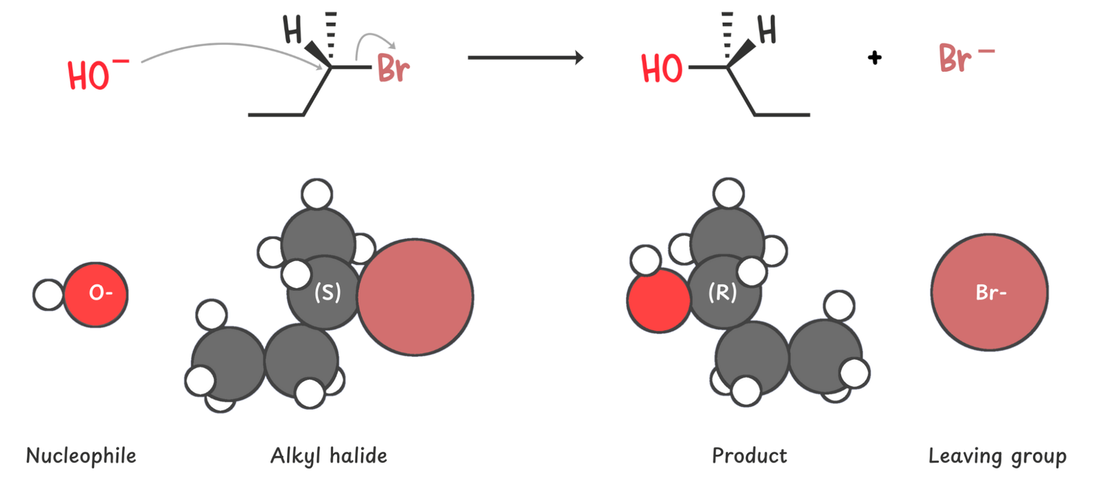 How to Rank Molecules by SN2 Reactivity