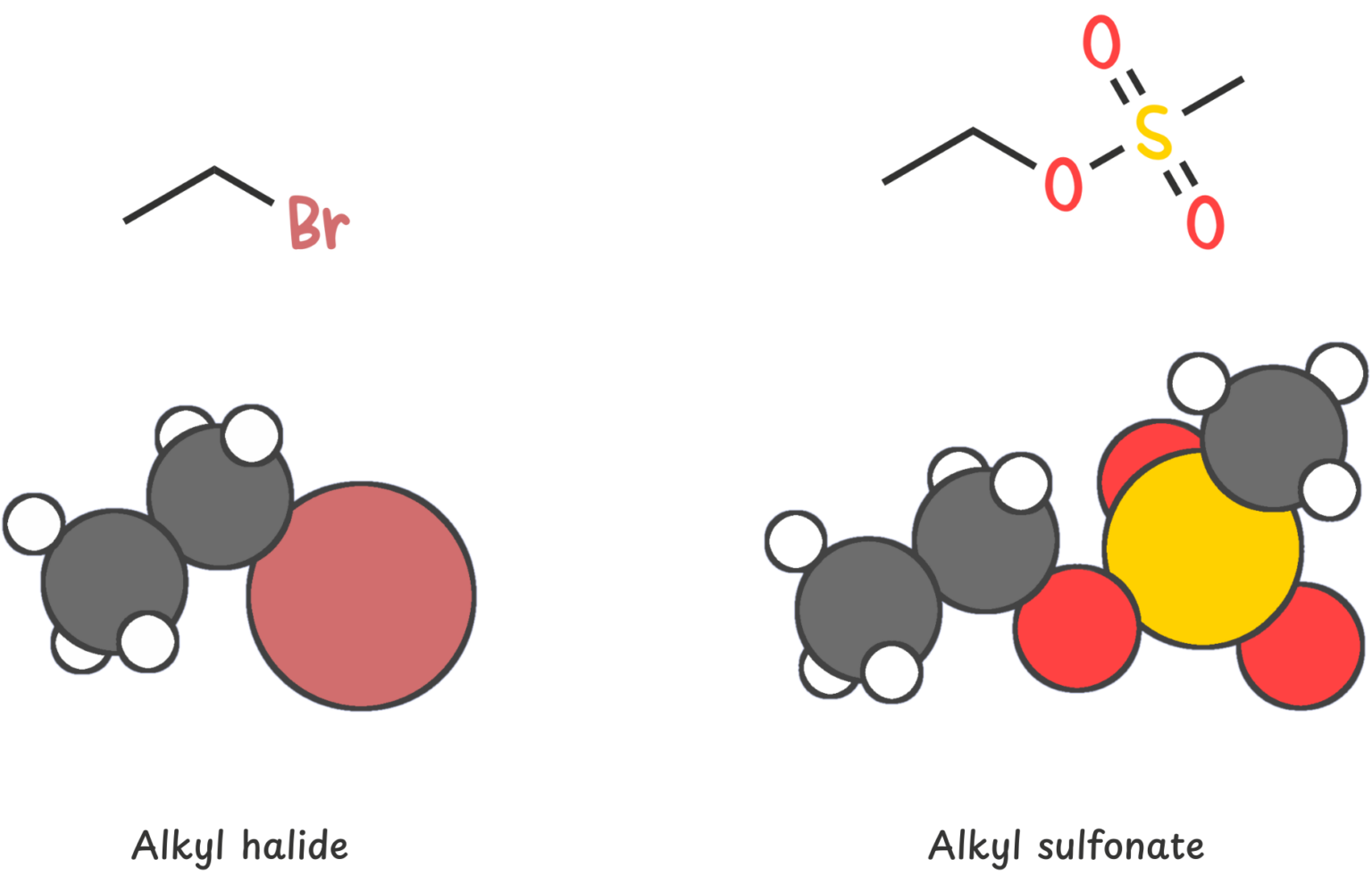 How To Predict The Products Of E1 Reactions